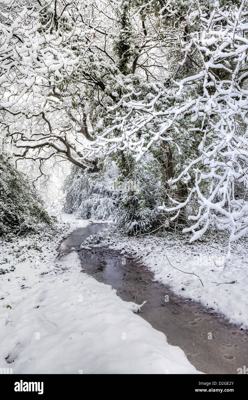Winter landscape with trees and stream Stock Photo - Alamy