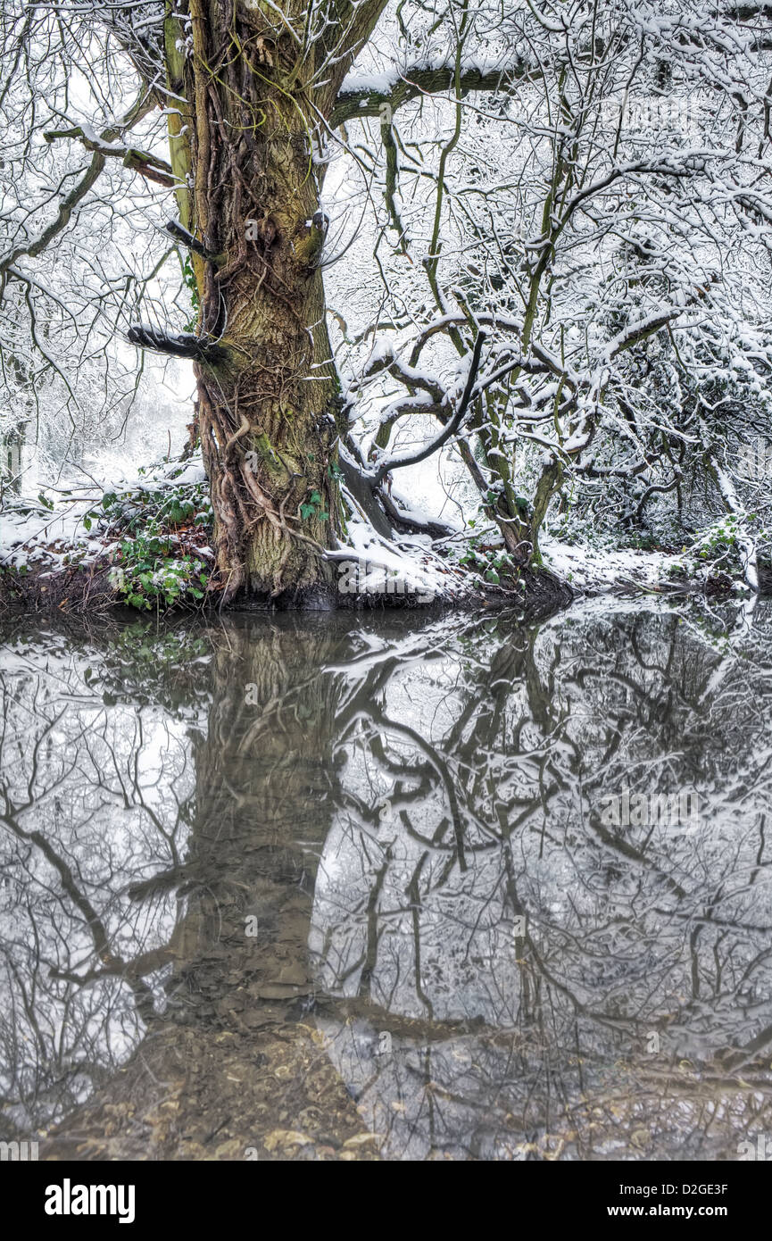 Beautiful winter landscape with tree reflection on water Stock Photo ...