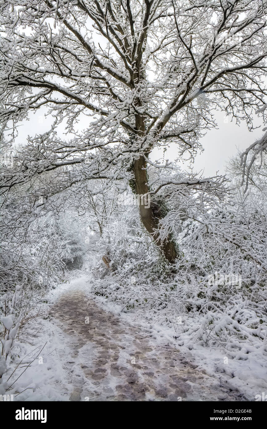 Empty path hi-res stock photography and images - Alamy