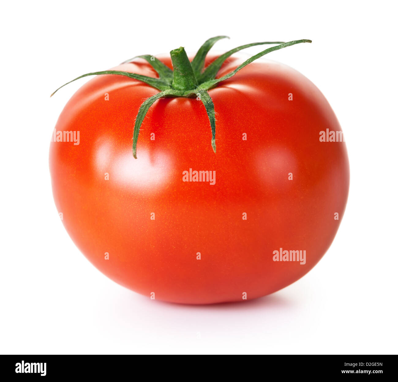 Tomato stem hi-res stock photography and images - Alamy