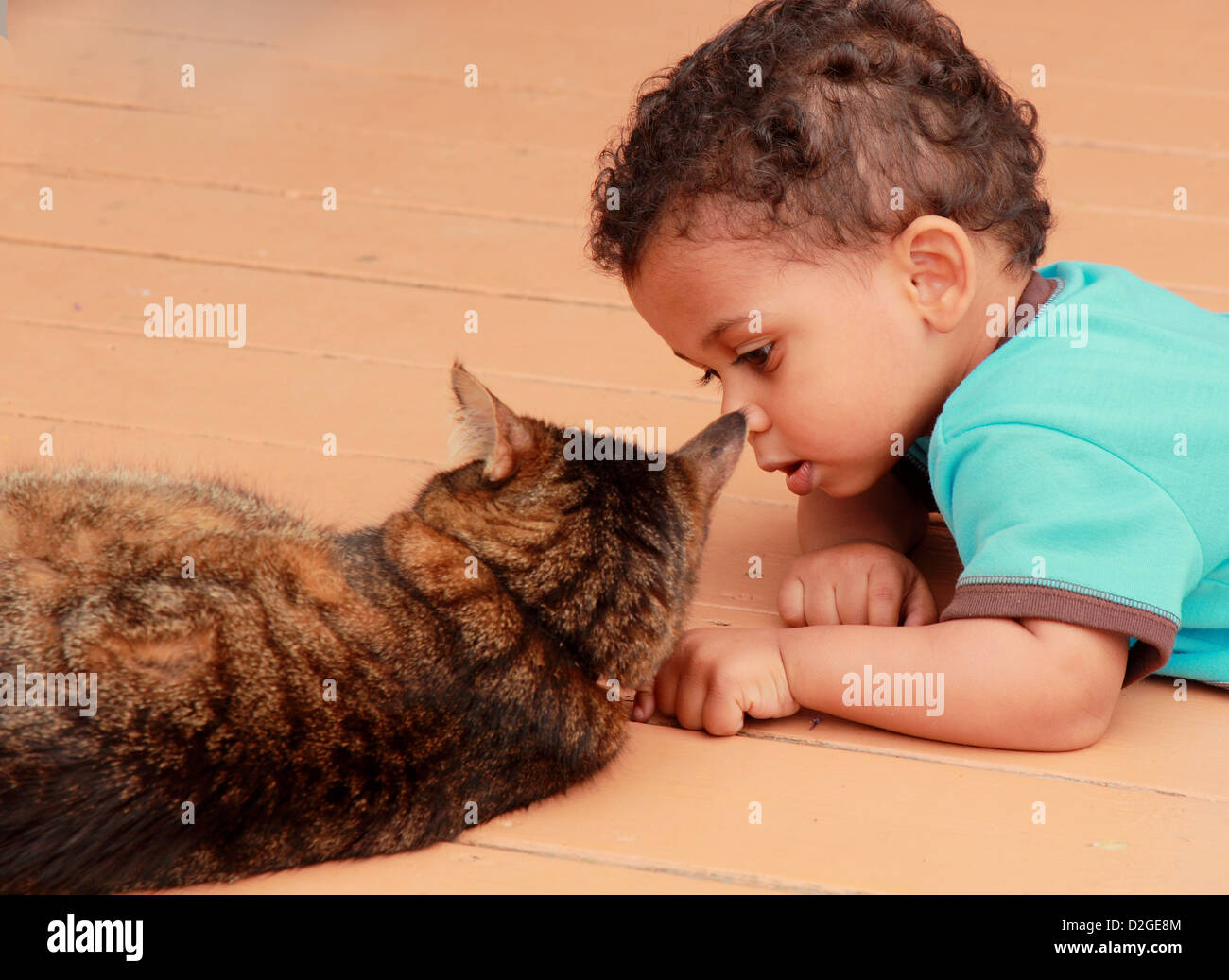 a young child playing with a pet cat Stock Photo - Alamy
