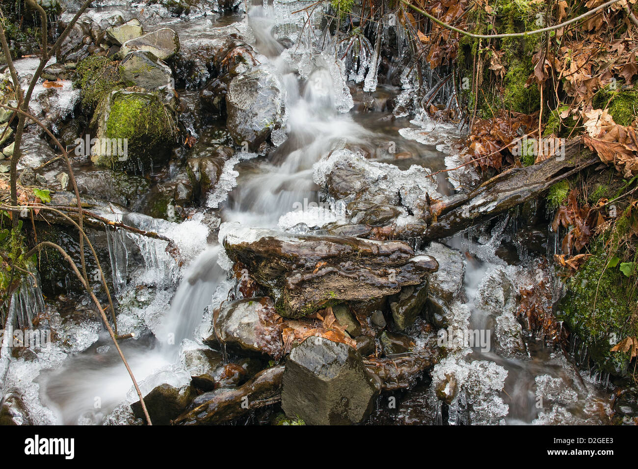 Ice frozen cold winter leaves river stream flow rocks hi-res stock ...
