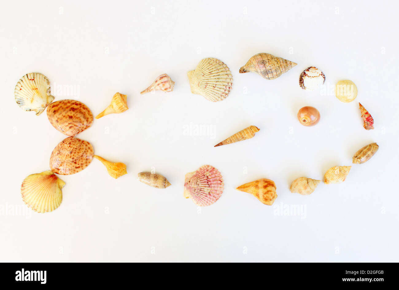 A depiction of a fish created from seashells Stock Photo - Alamy