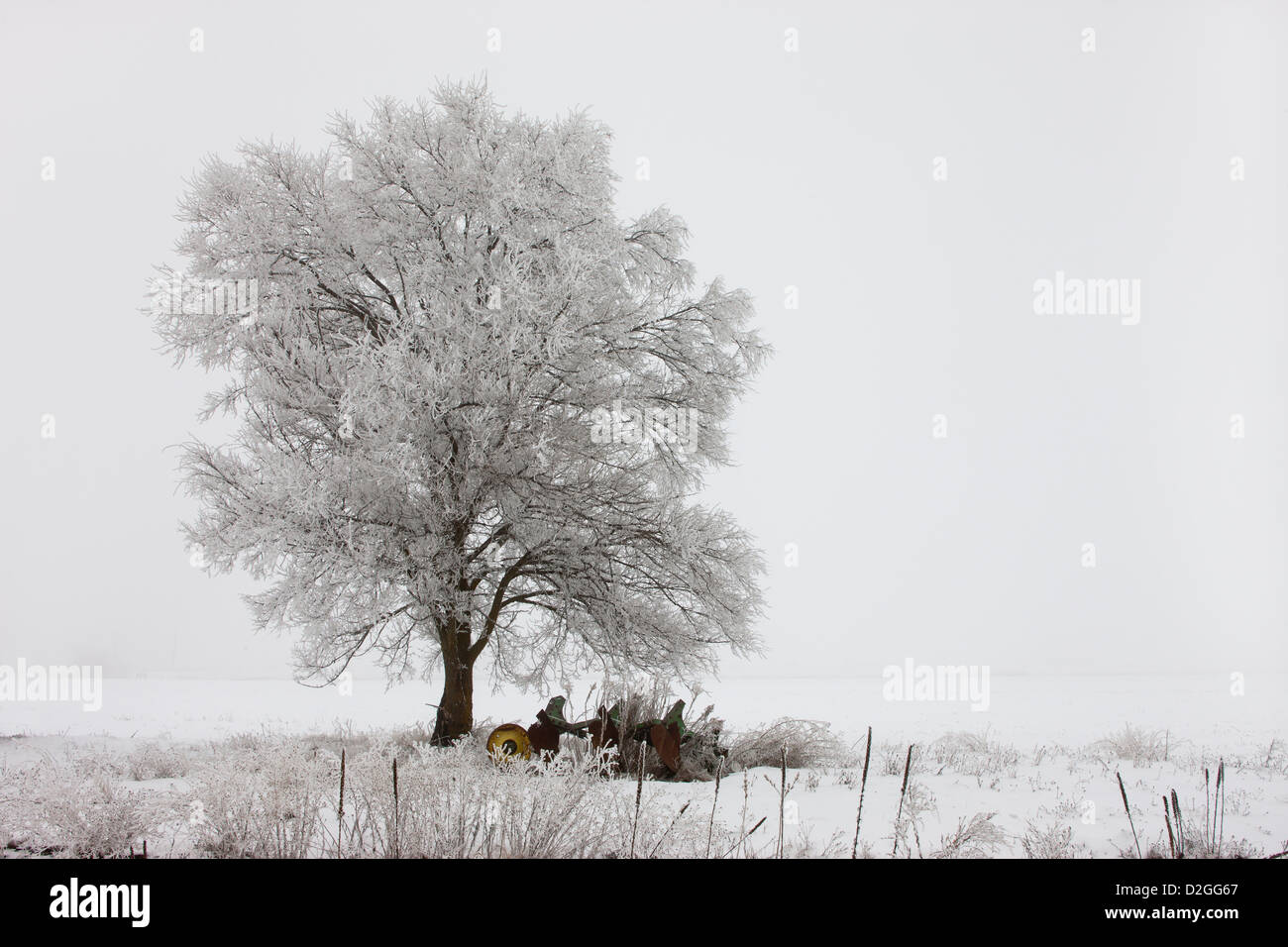 Landscape of tree layered in frost Stock Photo - Alamy
