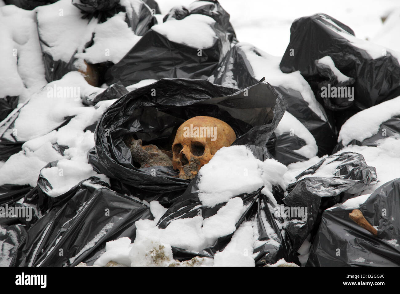 The skull of a former German inhabitant sits in the snow among black ...