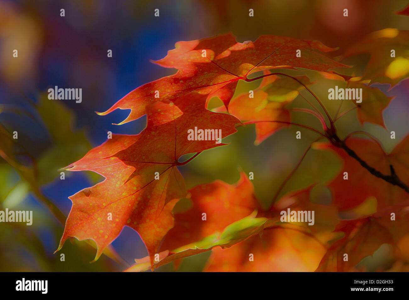 Digital transition effect hi-res stock photography and images - Alamy