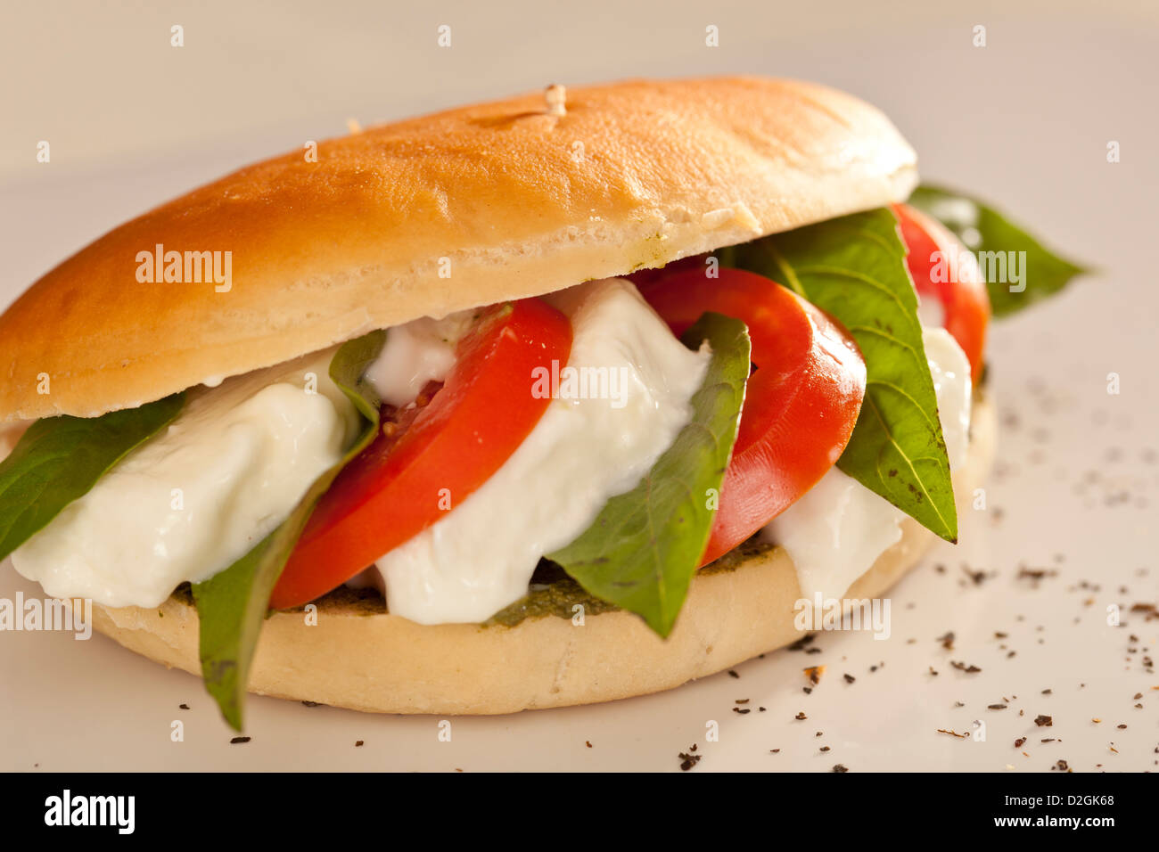 Cheese panini hi-res stock photography and images - Alamy