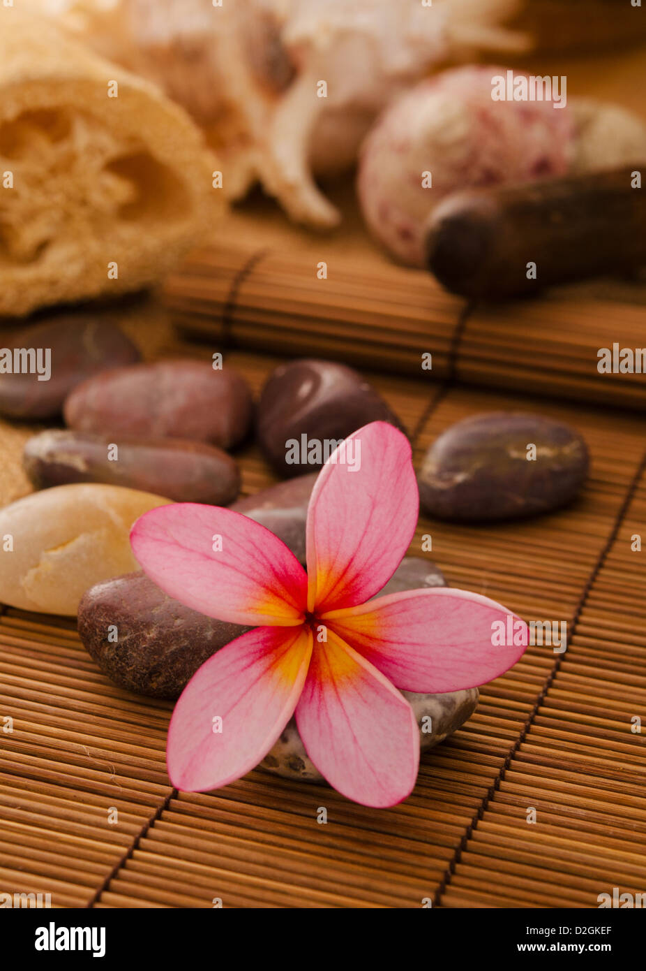 Frangipani plumeria spa concept hi-res stock photography and images - Alamy