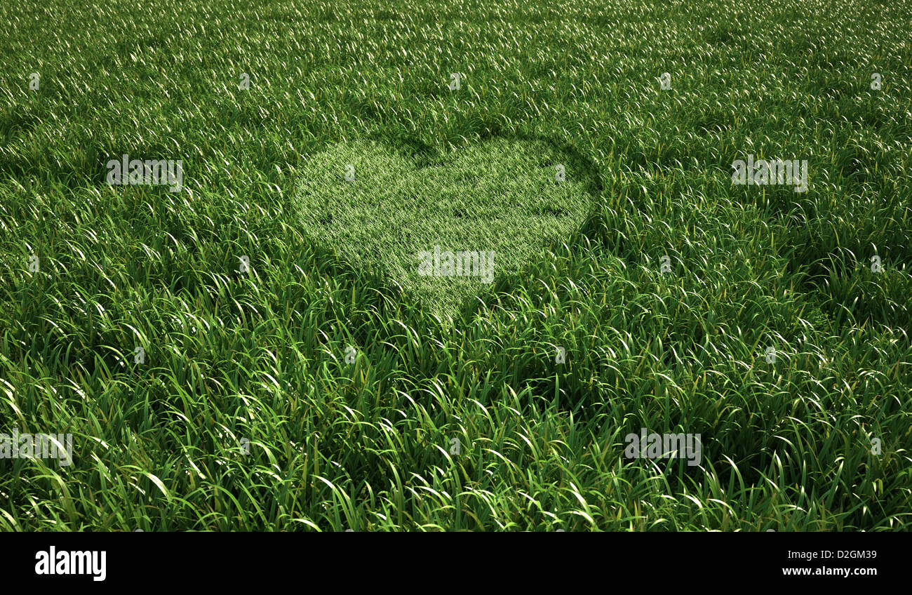 Grass meadow, bird eye view, with a heart shape cut grass in the middle ...