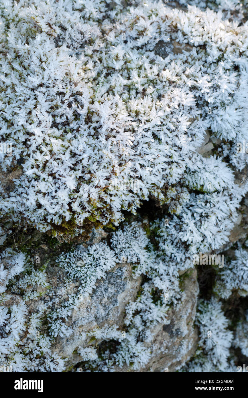 Moss ice hi-res stock photography and images - Alamy