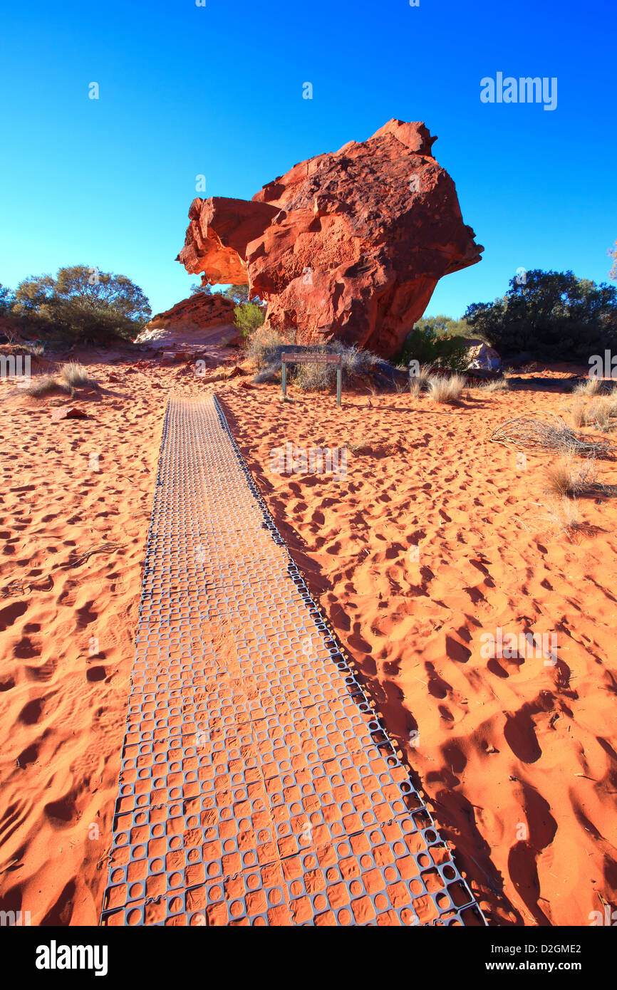 Australian desert mushroom hi-res stock photography and images - Alamy