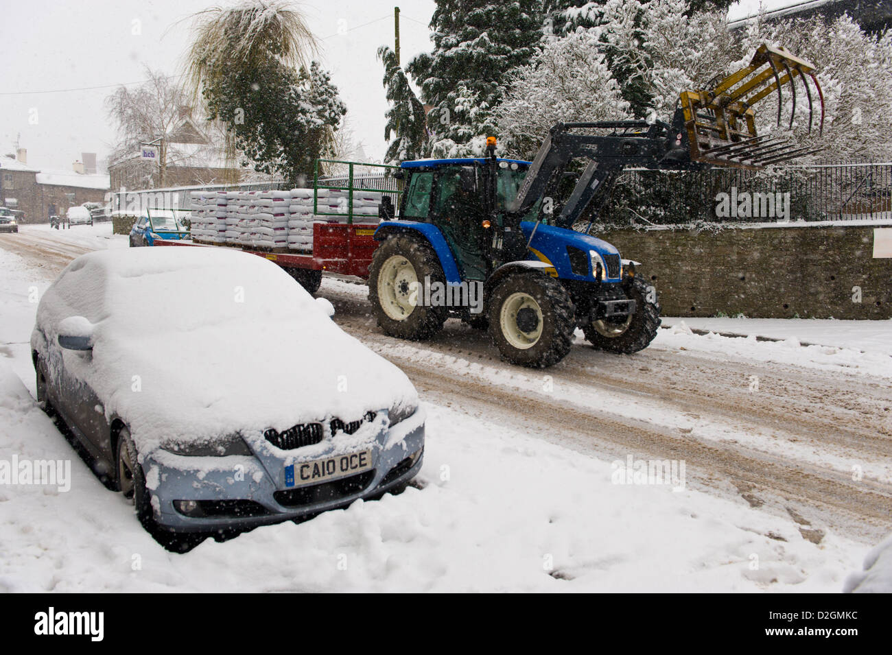 Farmer driving tractor with livestock feed on trailer after heavy ...