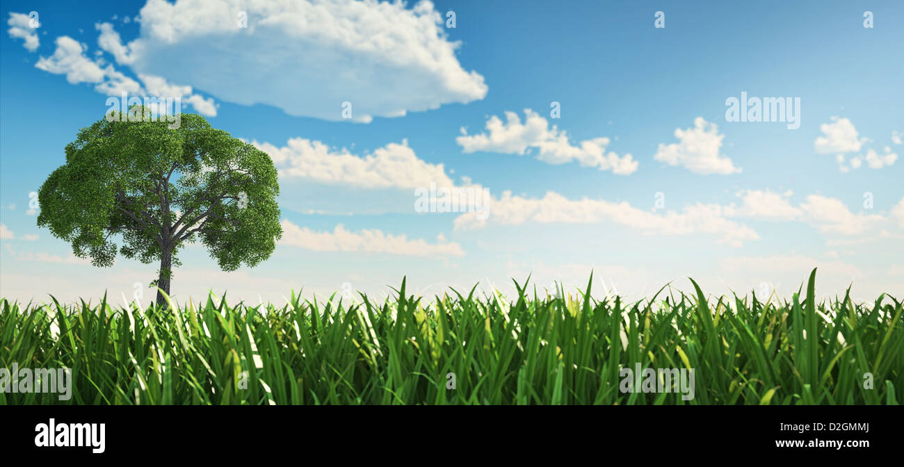Grass viewed from a side hi-res stock photography and images - Alamy