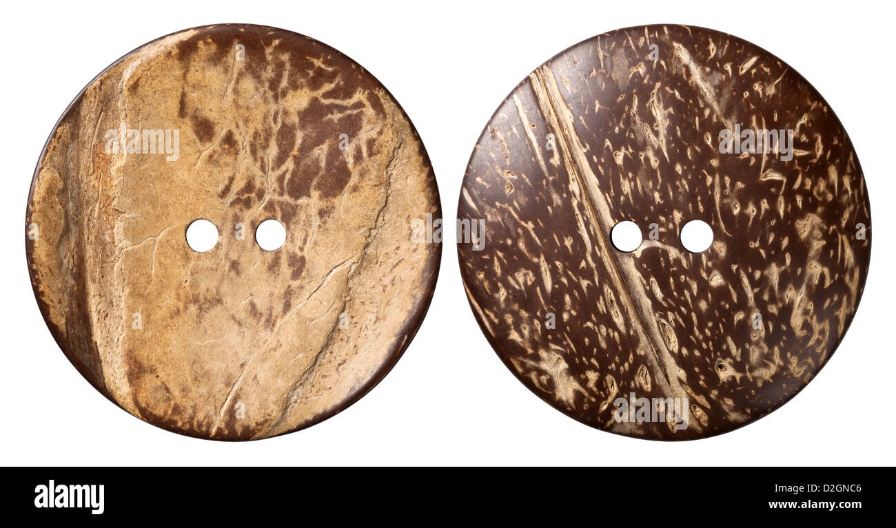 Brown sewing button isolated on white background. Two sides. Each one ...