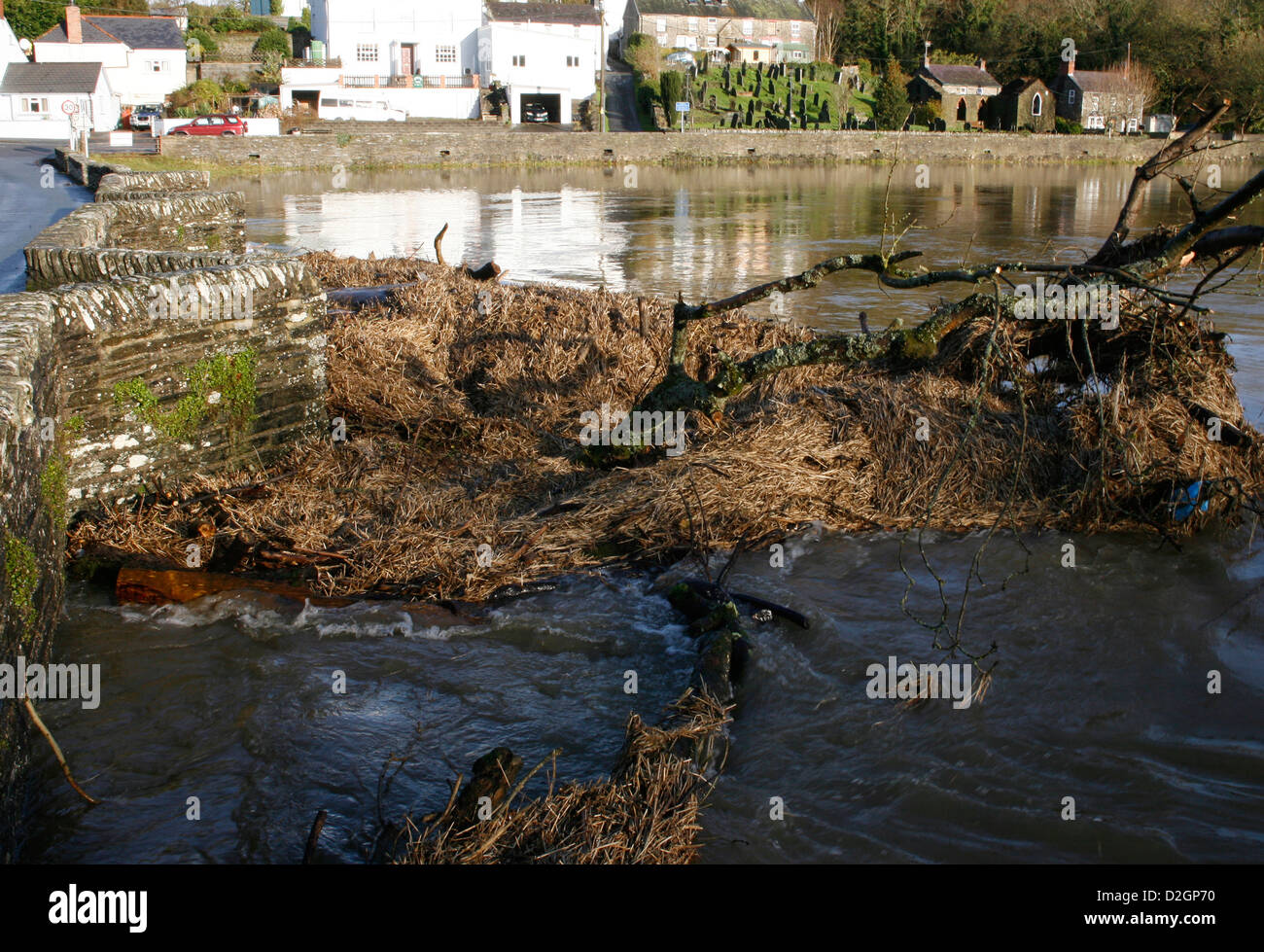 Rubbish floating river in flood river teifi in flood hi-res stock ...