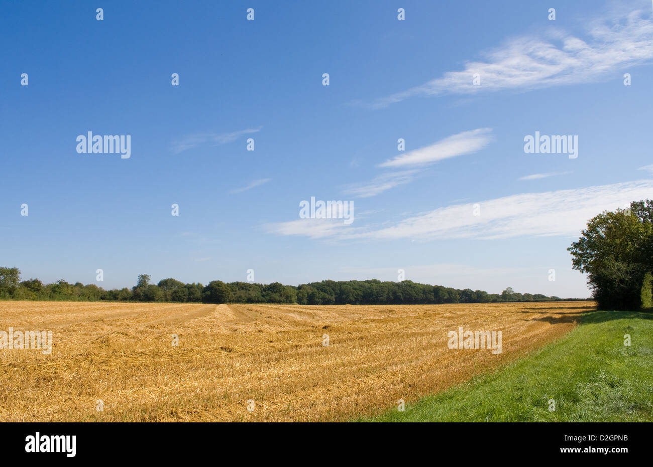 Walking paths countryside hi-res stock photography and images - Alamy