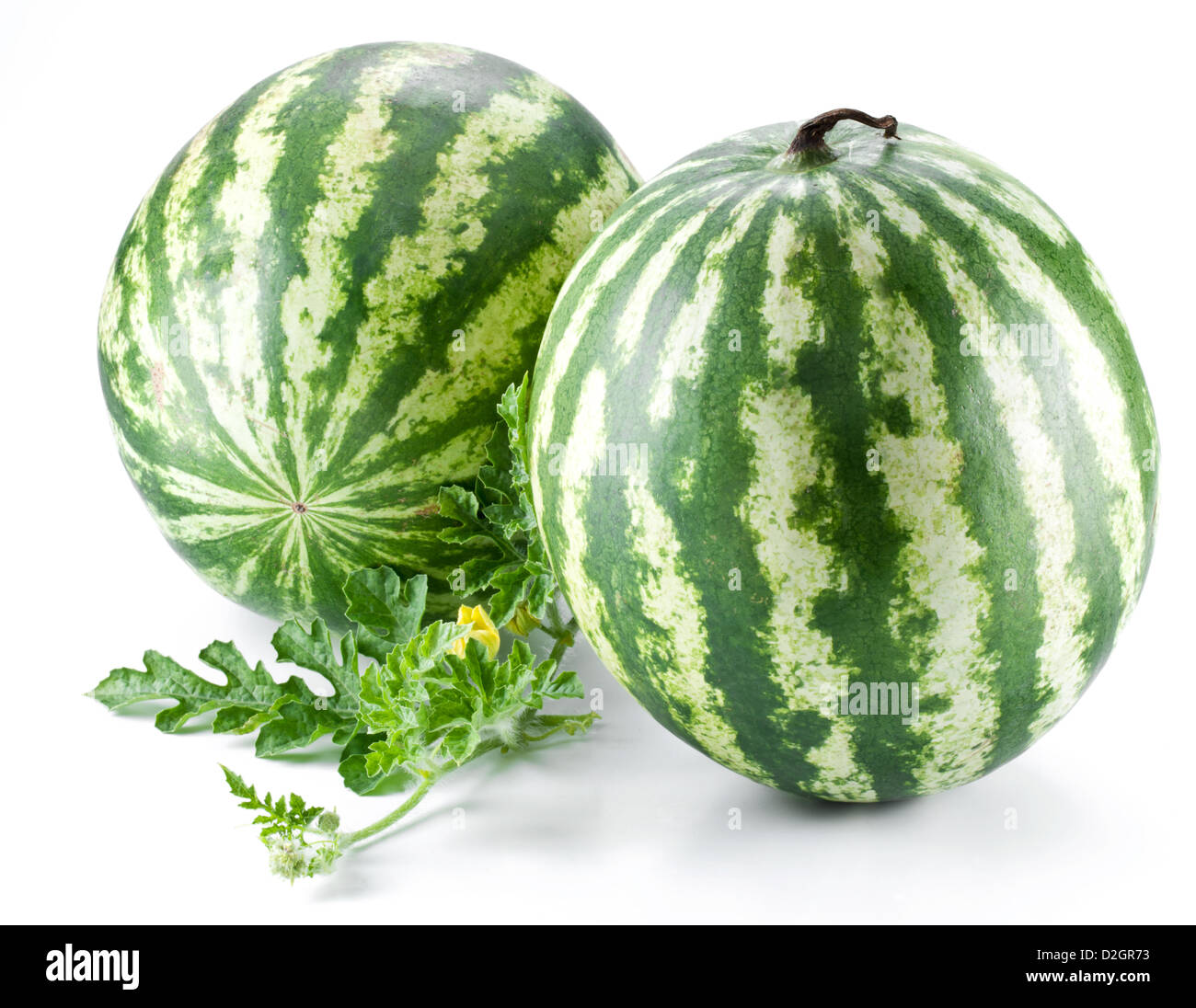 Two watermelons hi-res stock photography and images - Alamy
