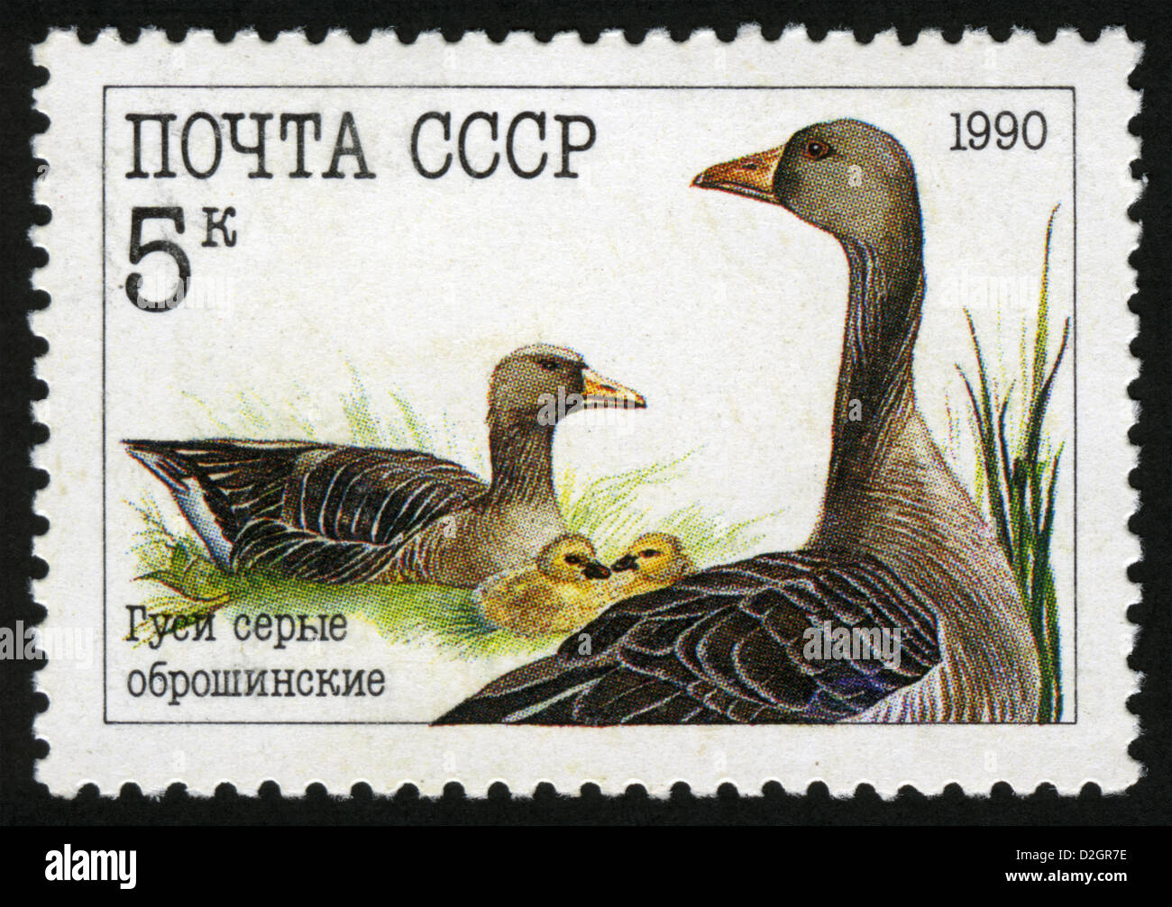 Postage stamp ussr 1990 hi-res stock photography and images - Alamy