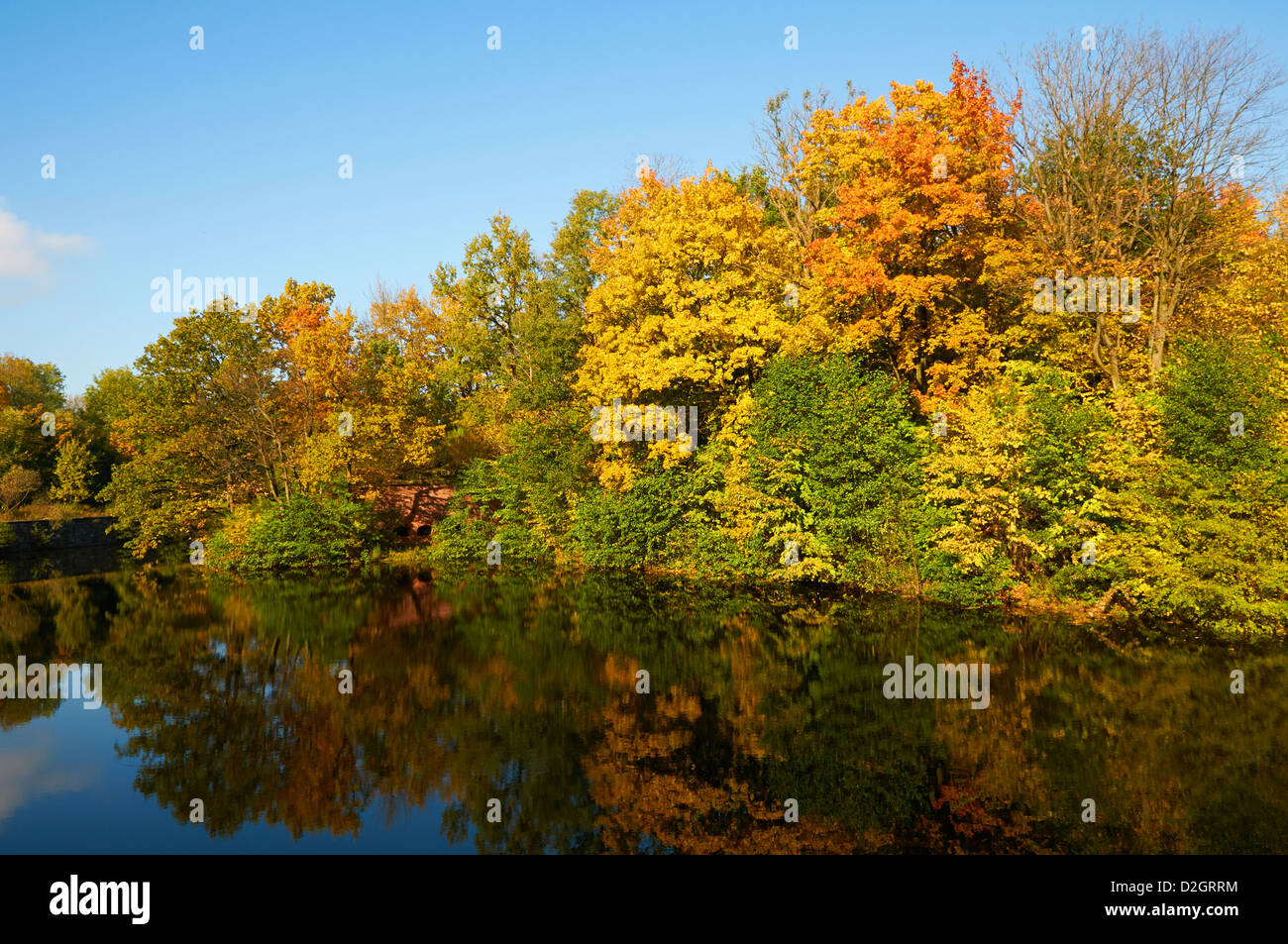 Color of autumn leaves Stock Photo - Alamy