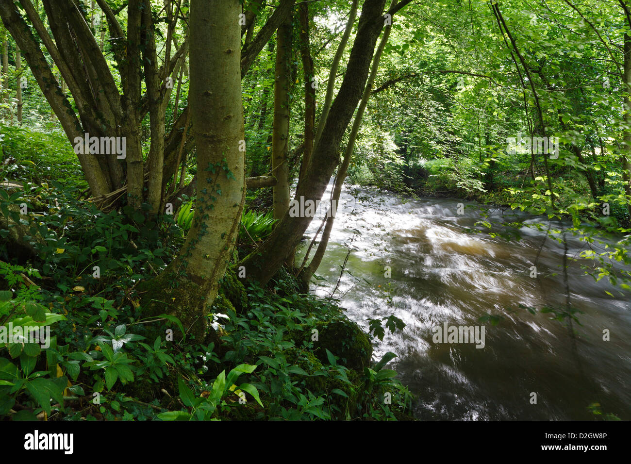 Atmospheric river walk hi-res stock photography and images - Alamy