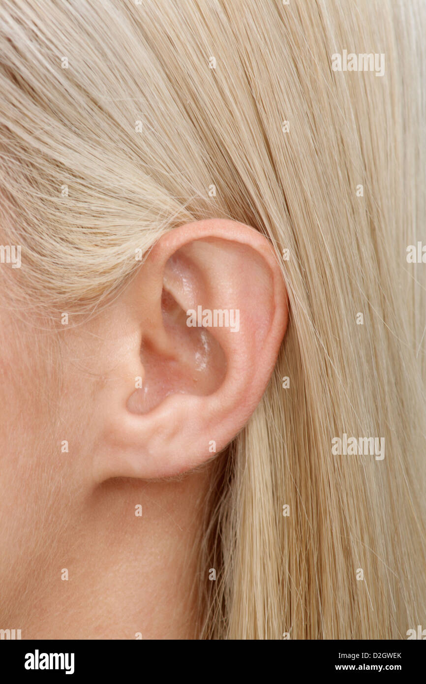 Female girl woman anatomy hi-res stock photography and images - Alamy