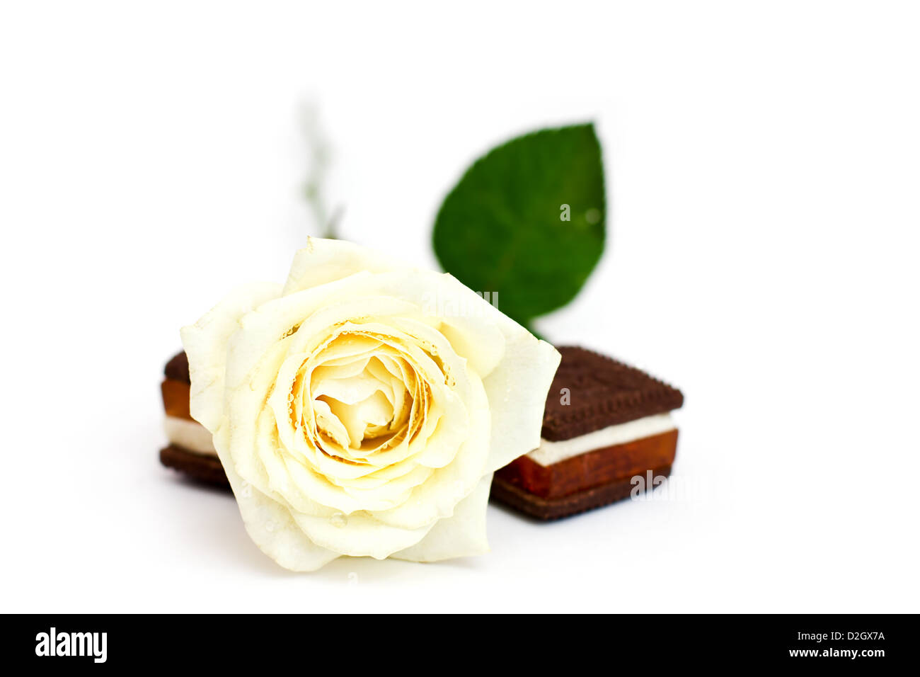 White rose with chocolate cookies (romantic breakfast Stock Photo - Alamy
