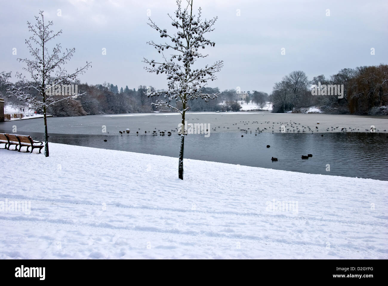 Lake in winter Stock Photo - Alamy