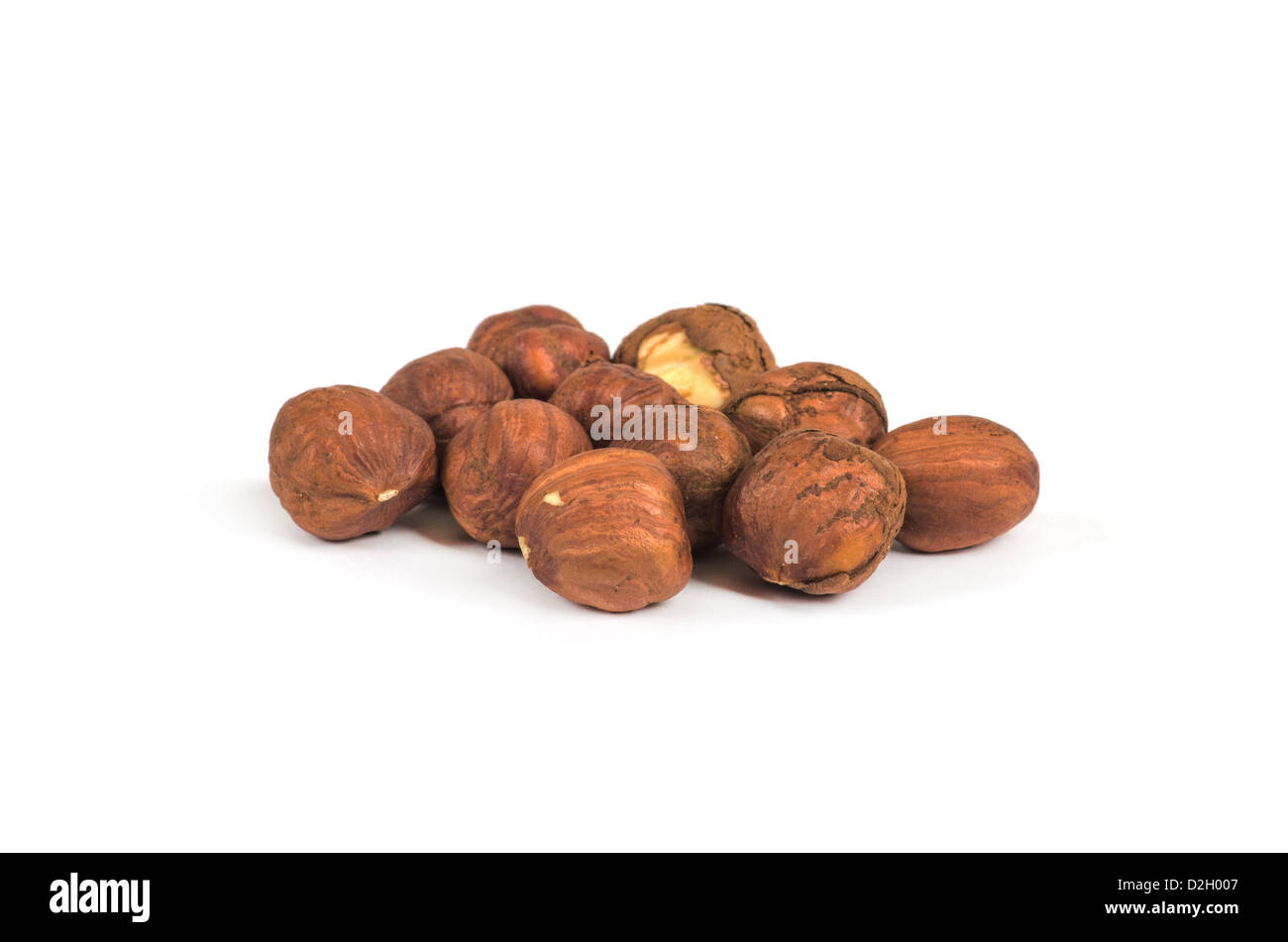 Hazel nut isolated on white background Stock Photo - Alamy