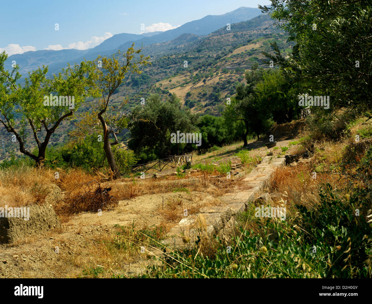 Halaesa hi-res stock photography and images - Alamy