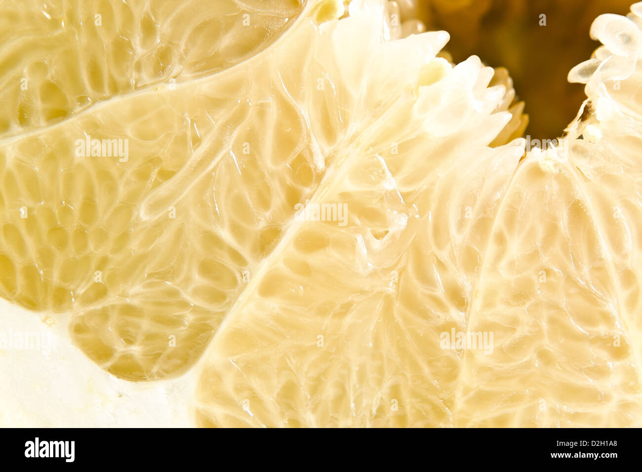 ripe yellow grapefruit , macro shot , focus on a center Stock Photo - Alamy