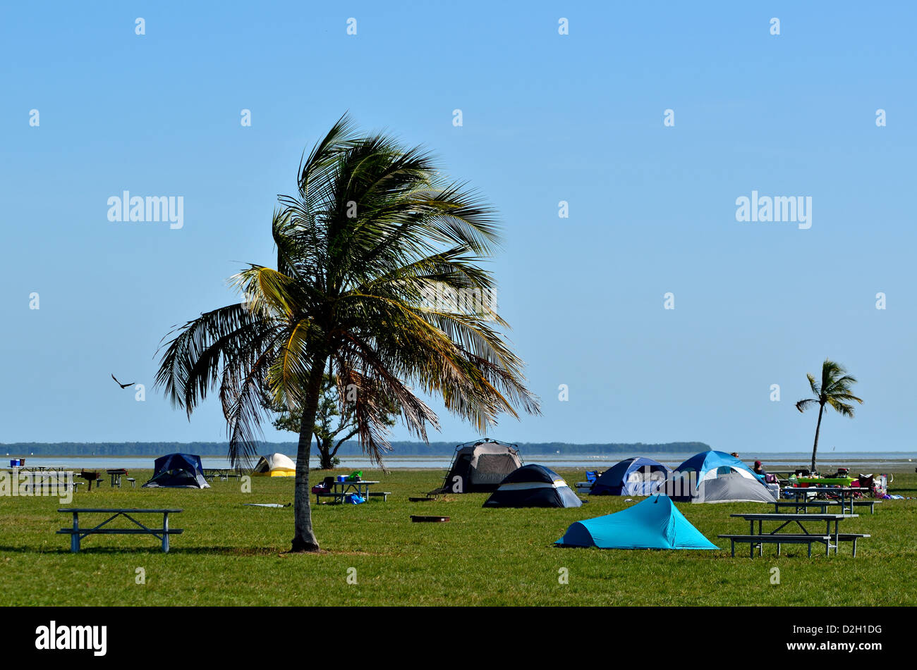 Campground near gulf coast. The Everglades National Park, Florida, USA ...