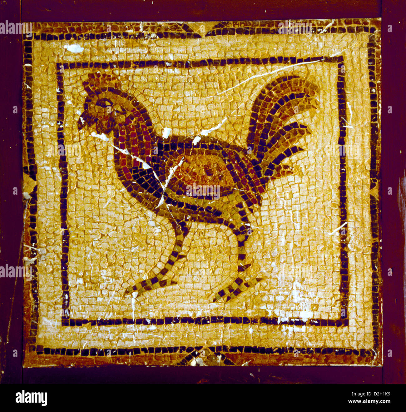 Jordan Archaeological Museum Mosaic Of A Chicken Stock Photo - Alamy