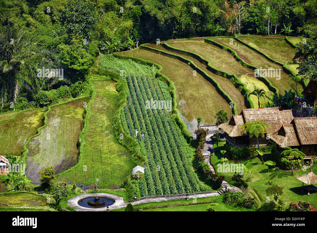 Trees and green grass fields hi-res stock photography and images - Alamy