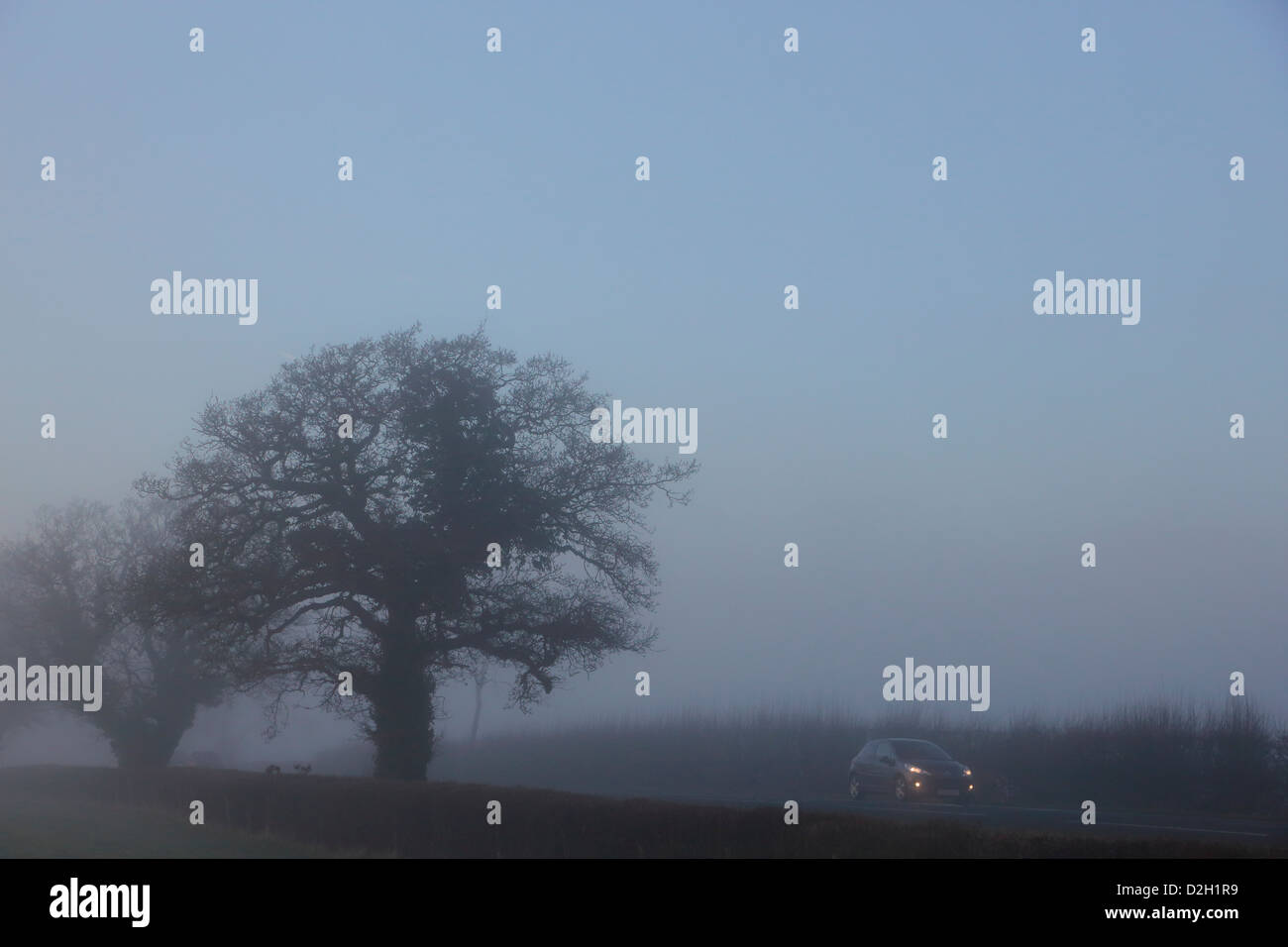 Car lights fog hi-res stock photography and images - Alamy