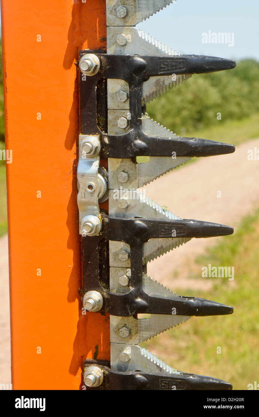 Hedging hi-res stock photography and images - Alamy