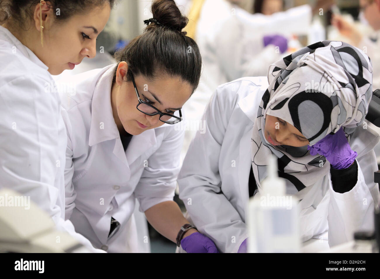 Female university students enjoying science research, university, UK ...