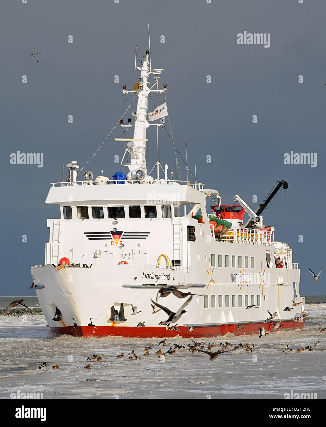 The coastal resort ferry "Harlingerland" fights its way through the ice ...