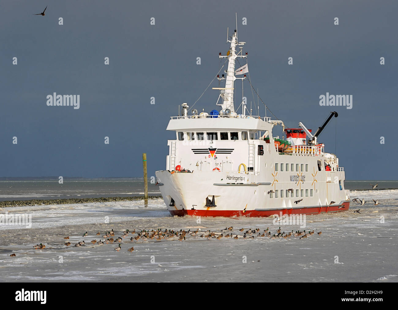 The coastal resort ferry "Harlingerland" fights its way through the ice ...