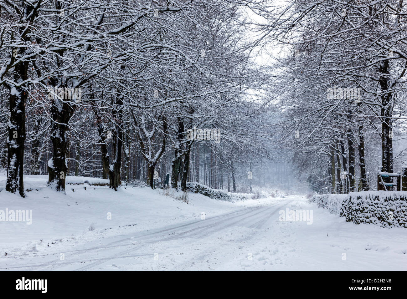 Snow Covered Road in Macclesfield Forest Stock Photo - Alamy