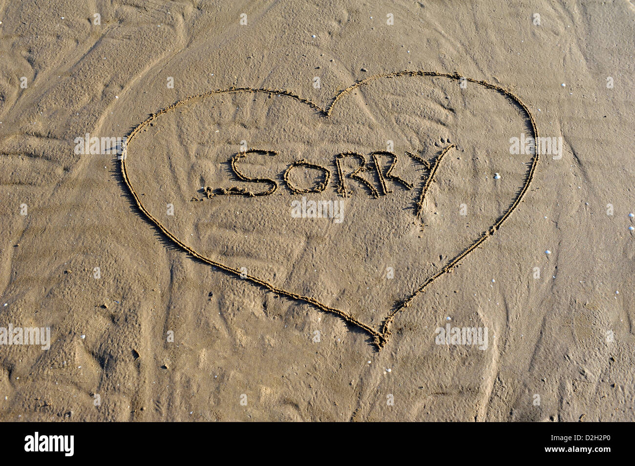 Sorry With Heart