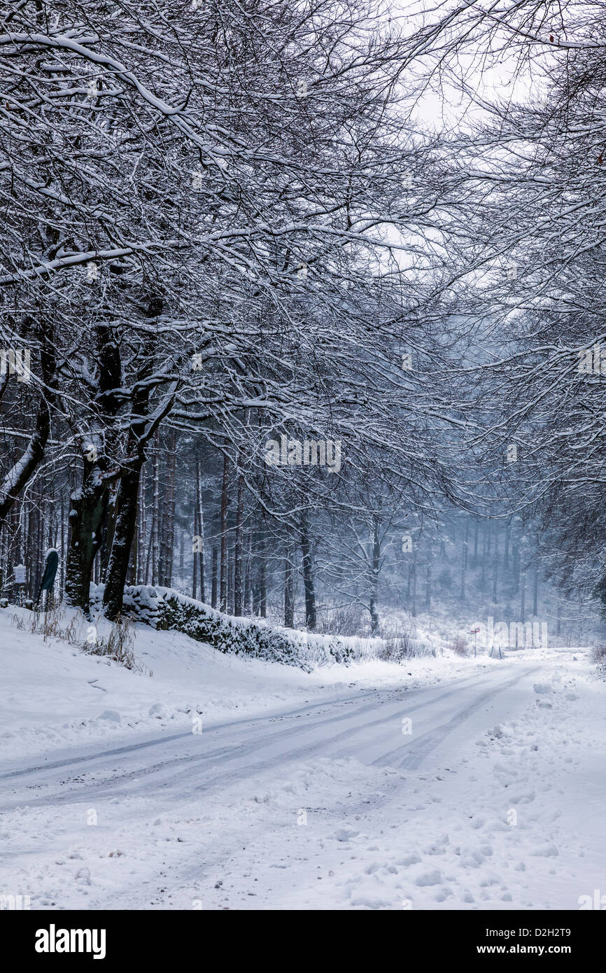 Snow Covered Road in Macclesfield Forest Stock Photo - Alamy