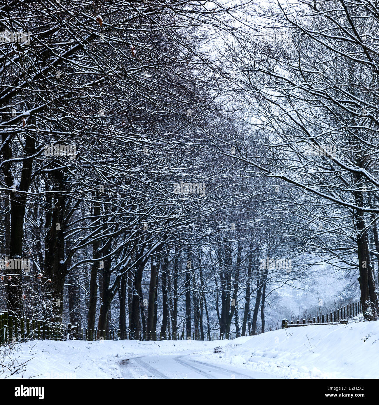 Snow Covered Road in Macclesfield Forest Stock Photo - Alamy