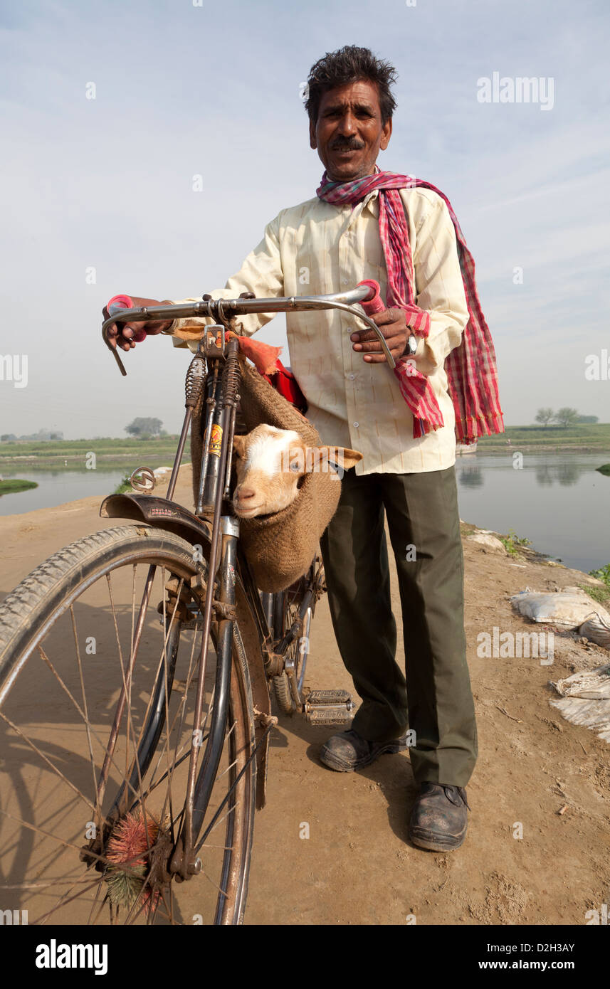 Goat on bicycle hi-res stock photography and images - Alamy