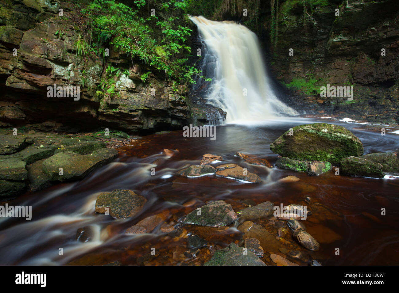 Hareshaw Linn waterfall located in a steep sided gorge, located near ...
