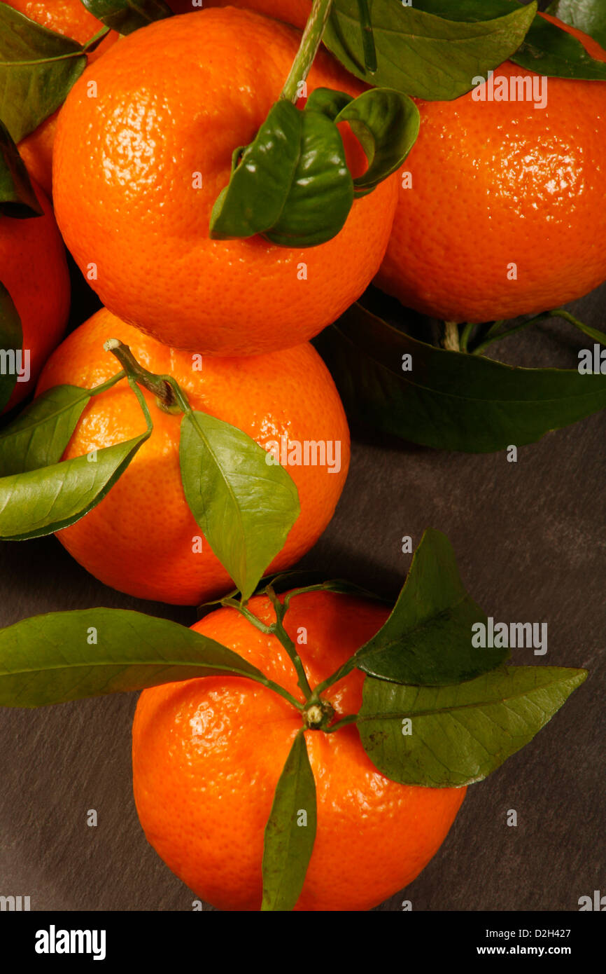 Orange tangerine mandarin citrus tangerina hi-res stock photography and ...
