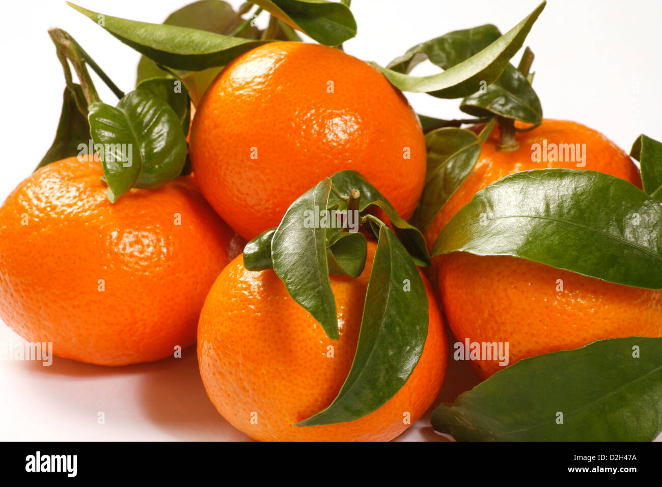 Orange tangerine mandarin citrus tangerina hi-res stock photography and ...