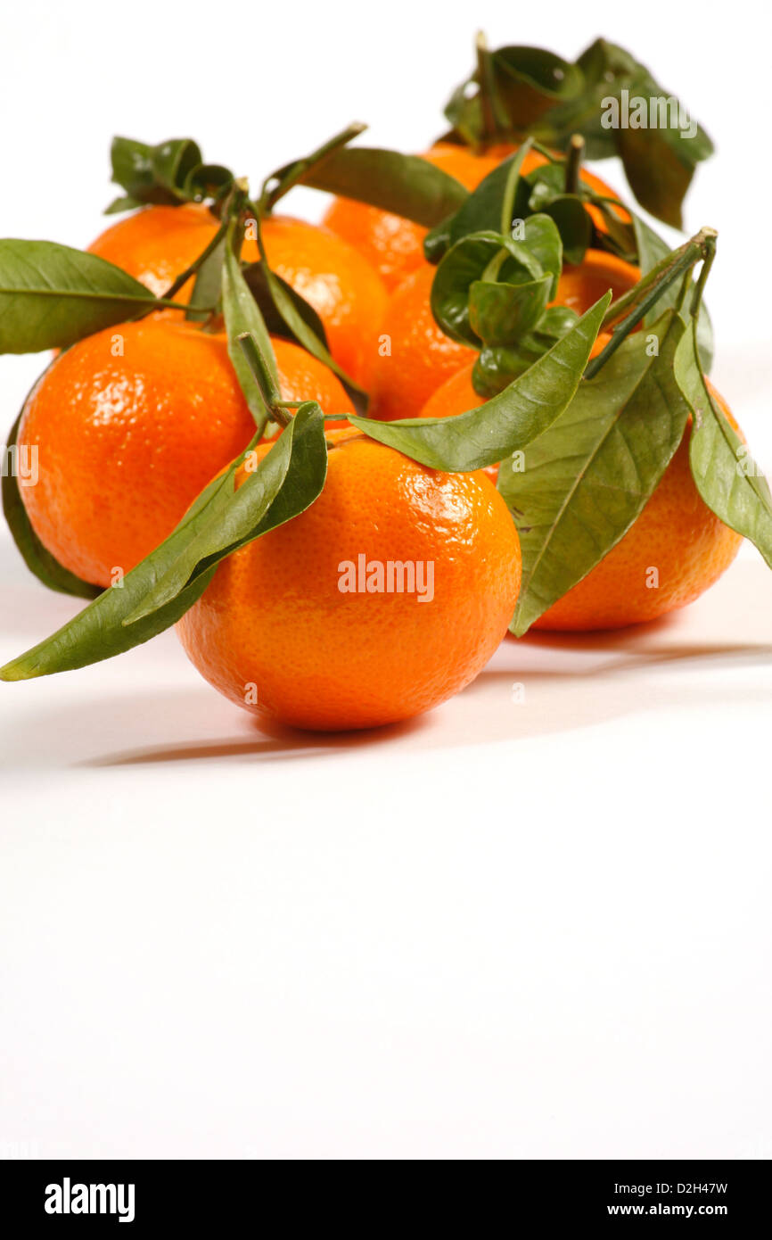 Orange tangerine mandarin citrus tangerina hi-res stock photography and ...