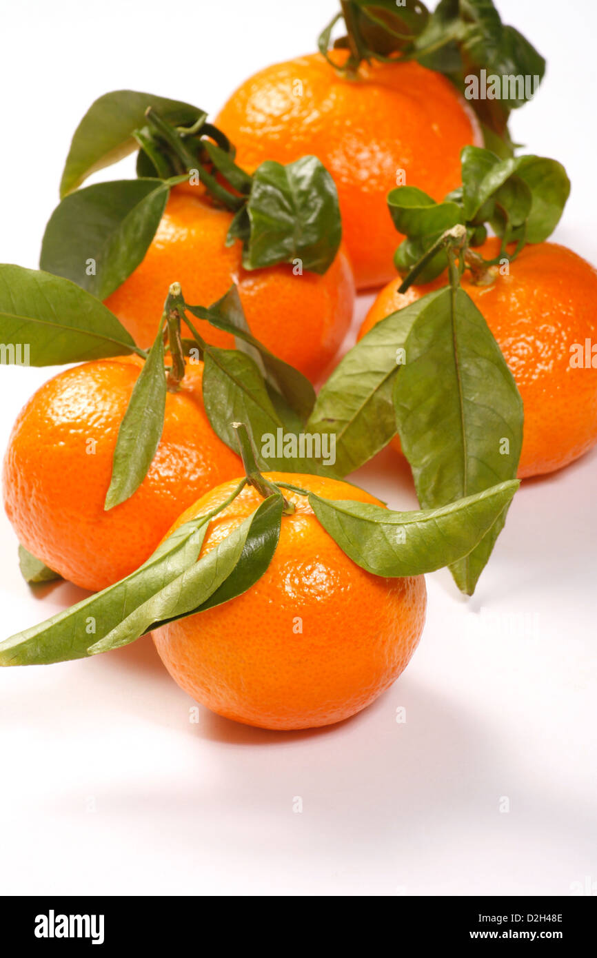 Orange tangerine mandarin citrus tangerina hi-res stock photography and ...