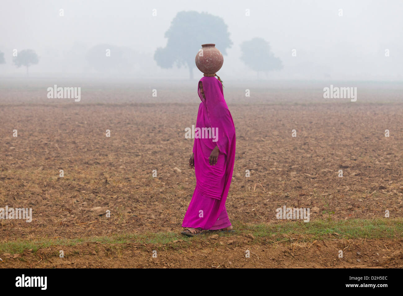Indian woman carrying pot on head hi-res stock photography and images ...