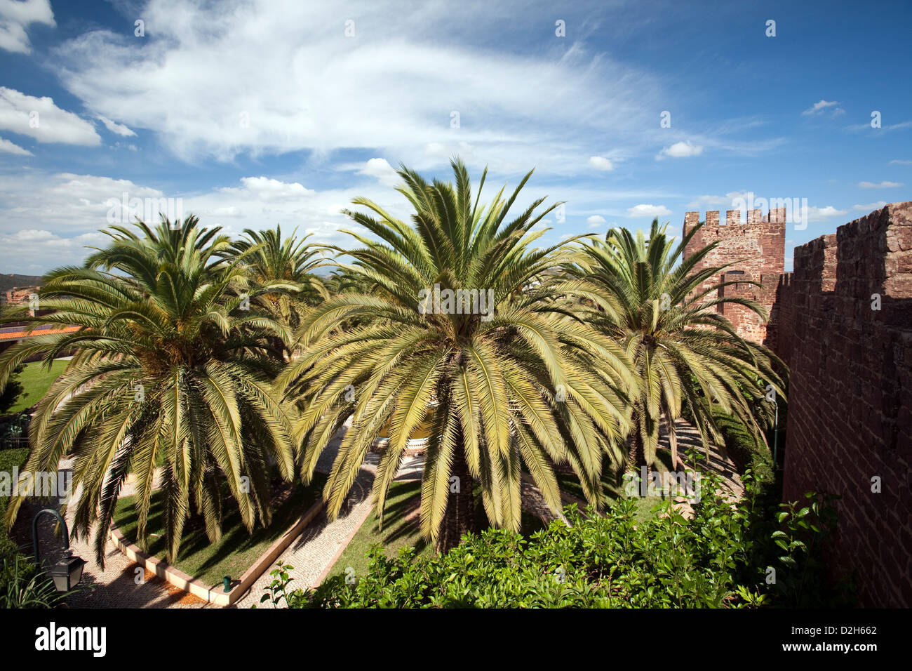Silves, Portugal, palm trees in front of the Moorish castle Stock Photo ...